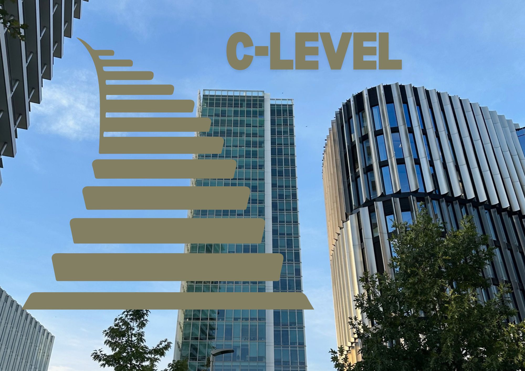Co je správa firmy na úrovni C? Patříte do ní? C-level - PODNIKANI-INFO.cz
